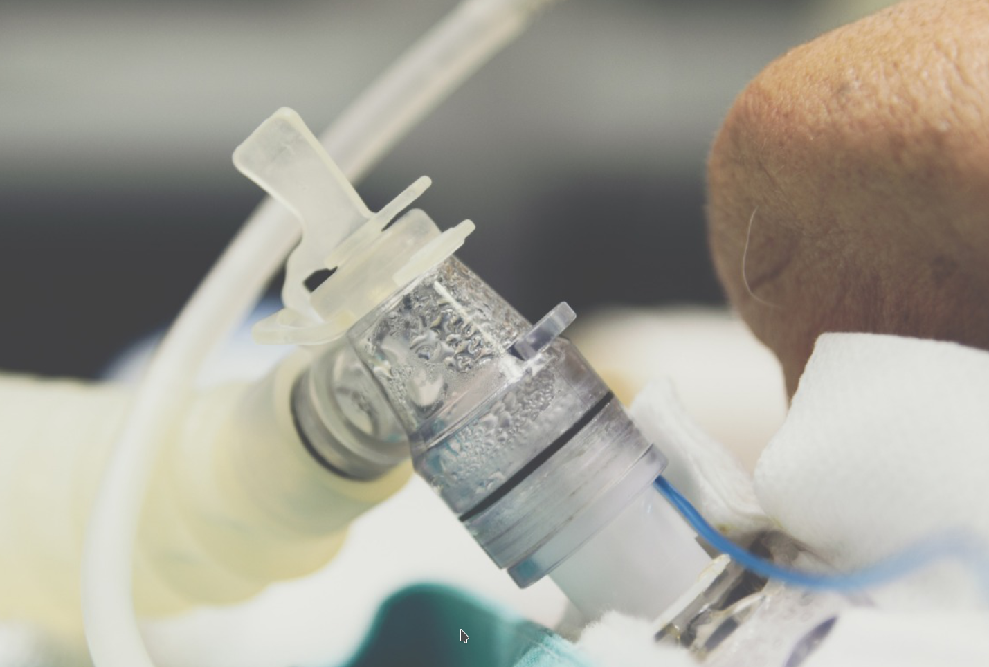 Μονάδα Φροντίδας Ηλικιωμένων | Καλλιστώ Care